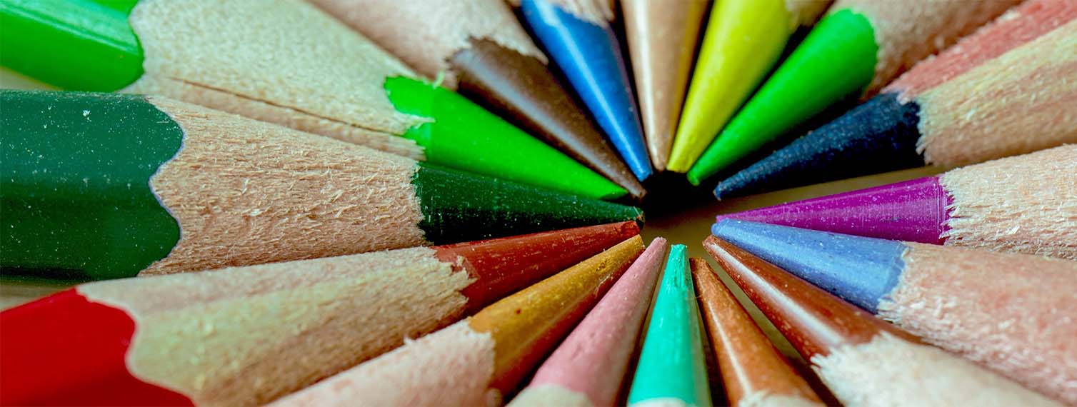 Inclusion and Belonging | Stout