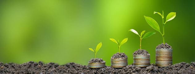 The ROI of ESG | Stout
