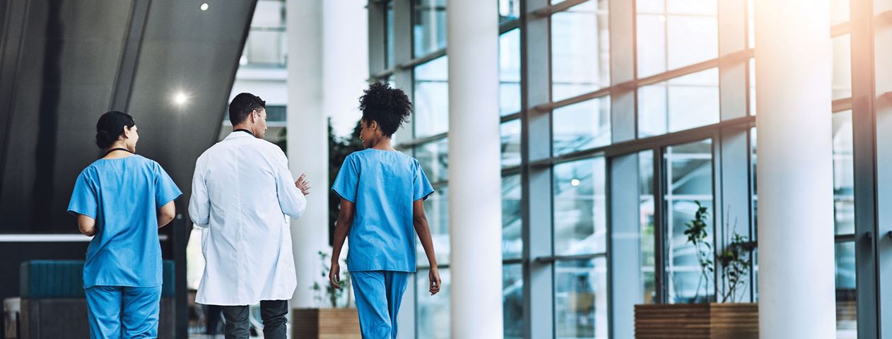 Healthcare Industry - 2026 Outlook | Stout